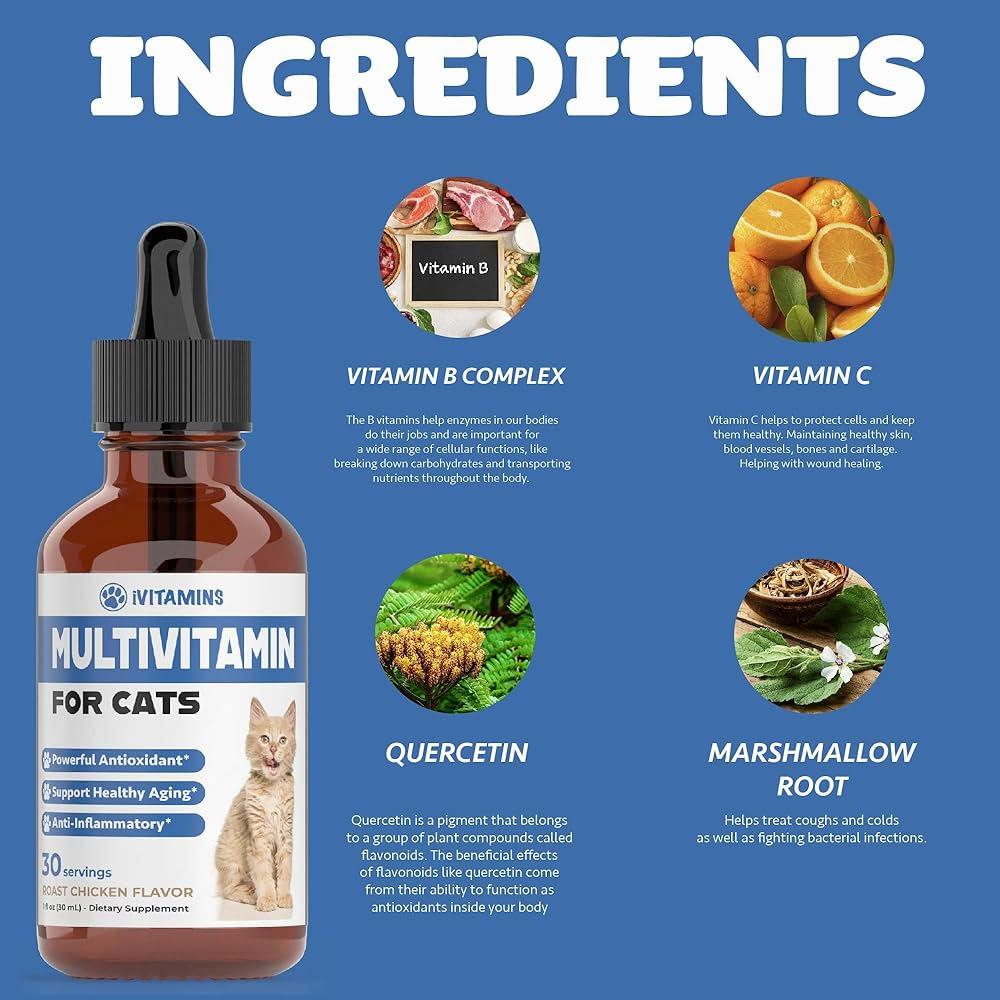 B Vitamins for Cats: Essential Nutrients for Feline Health - Farmacia ...