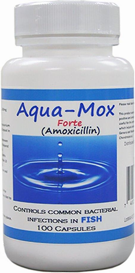 Fish Amoxicillin 500 mg Capsules 30 Count: Benefits and Dosage Guide