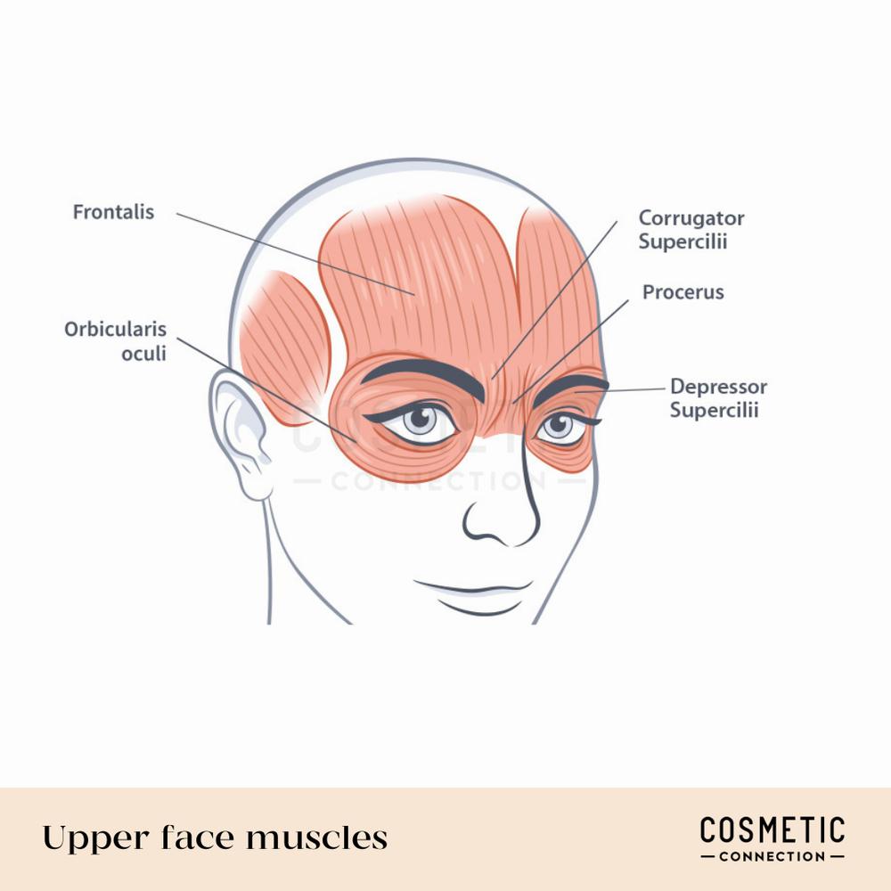 Jelly Roll Botox Before and After: A Comprehensive Guide