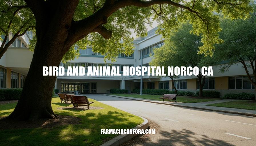 Bird and Animal Hospital Norco CA - Expert Care for Your Pets
